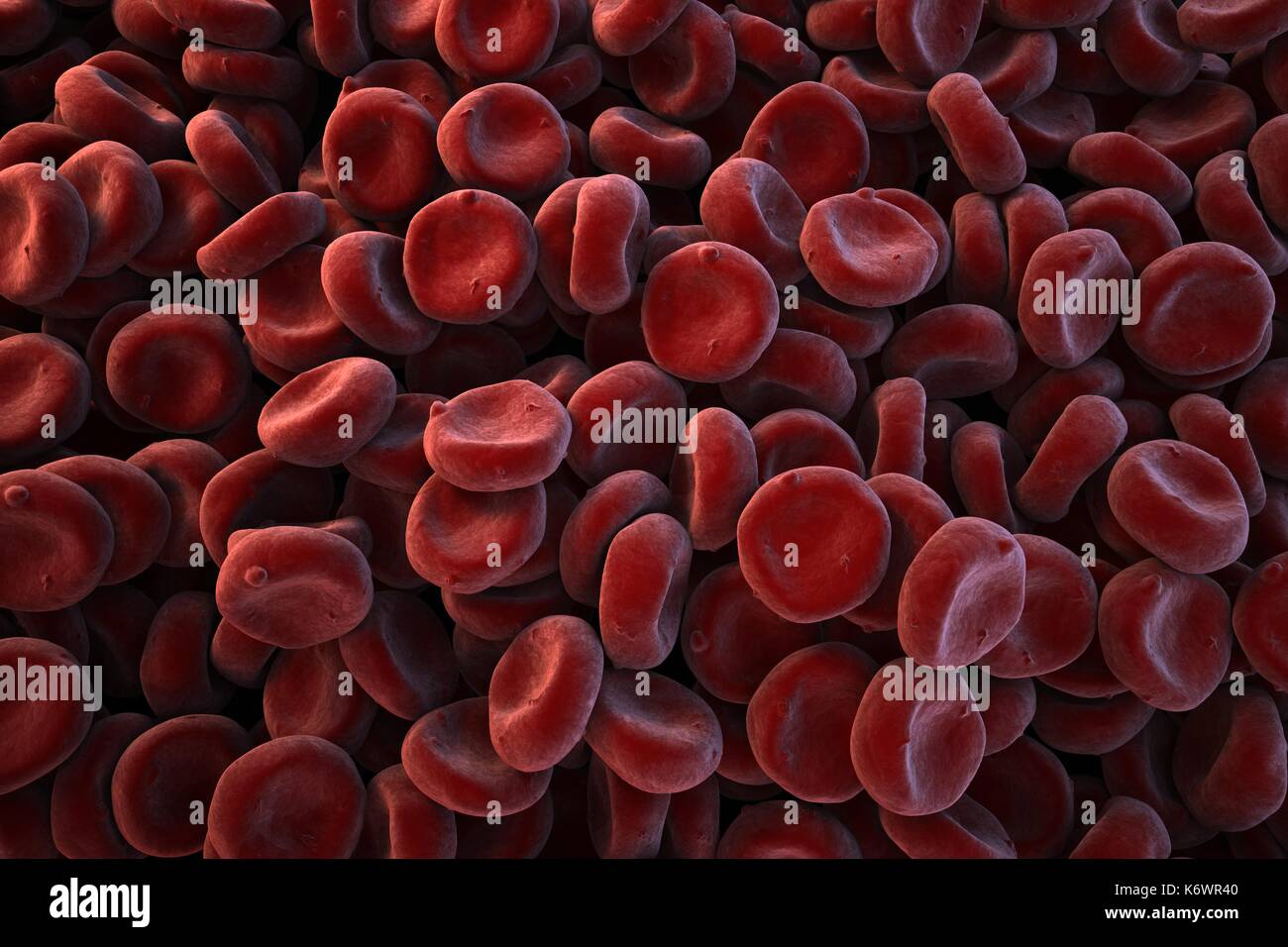 Cells Erythrocytes Banque d'image et photos - Alamy