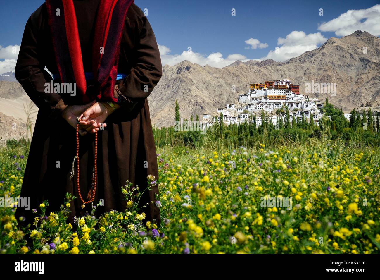 L'Inde, l'État de Jammu-et-Cachemire, Ladakh, Himalaya, vallée de l ...