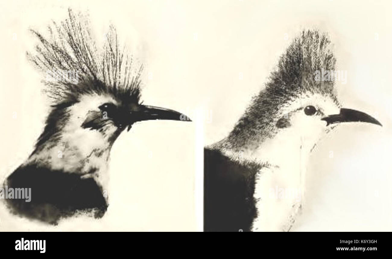 Varius painting Banque de photographies et d’images à haute résolution ...