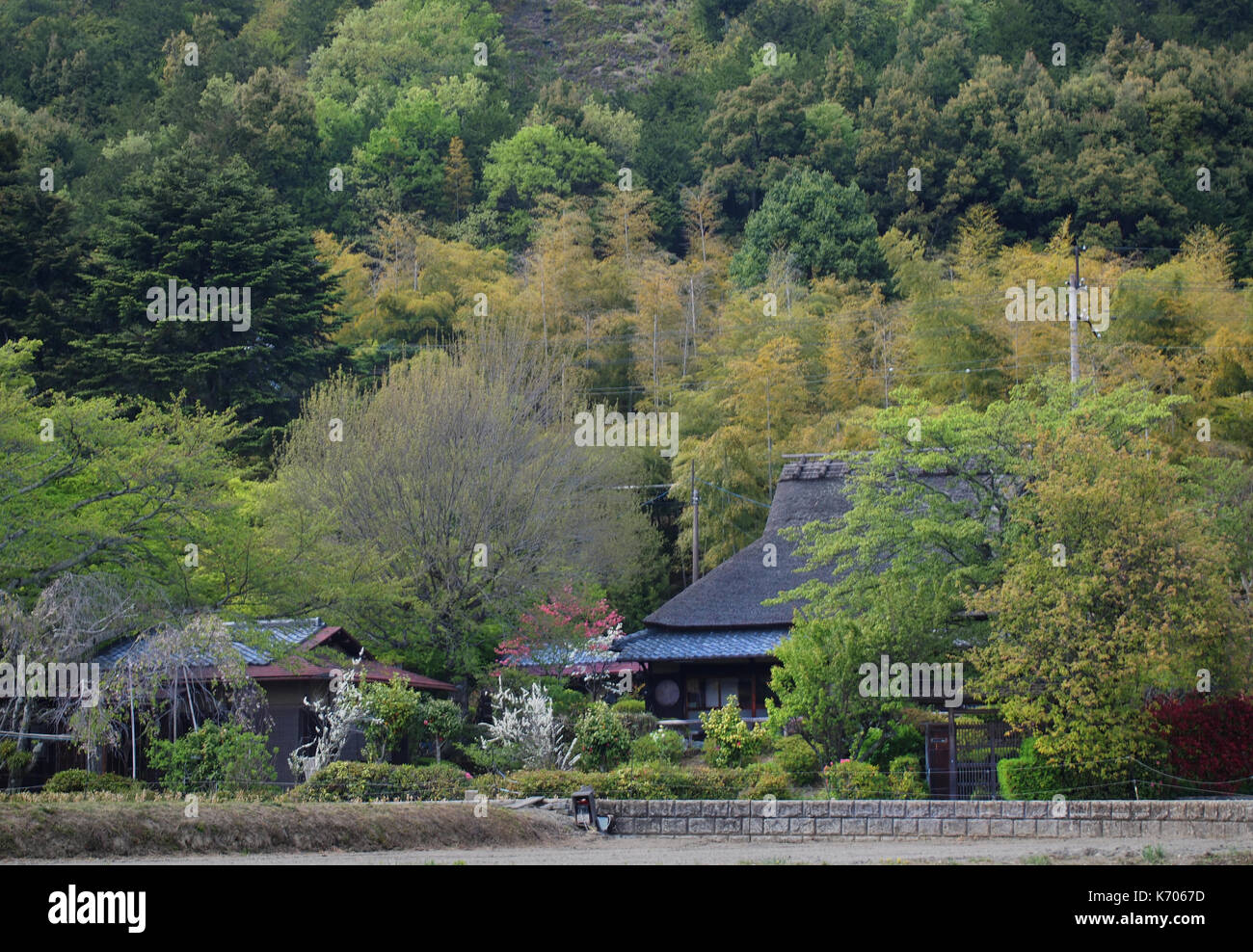 Saga arashiyama Banque de photographies et d’images à haute résolution - Alamy
