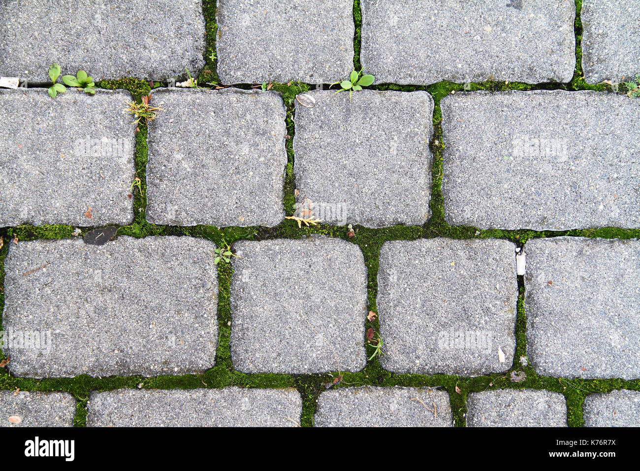 Sol mousse et pierres Banque de photographies et d’images à haute ...