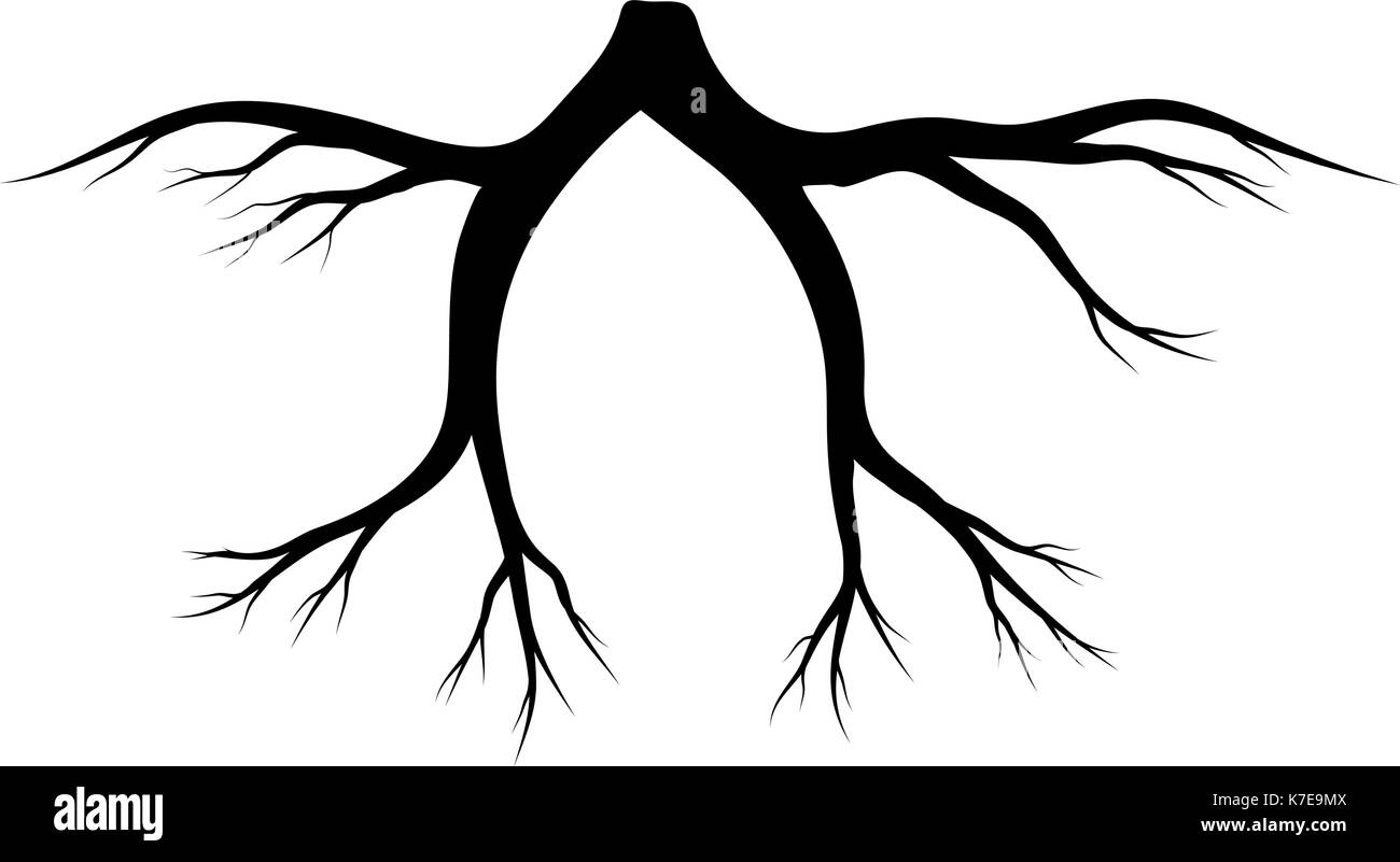 Silhouette racine symbole vecteur icône concevoir. Belle illustration ...