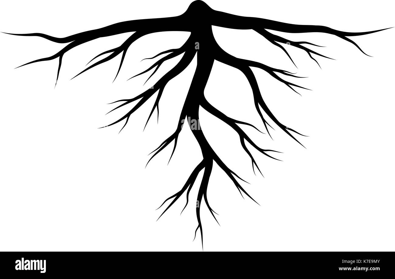 Silhouette racine symbole vecteur icône concevoir. Belle illustration ...