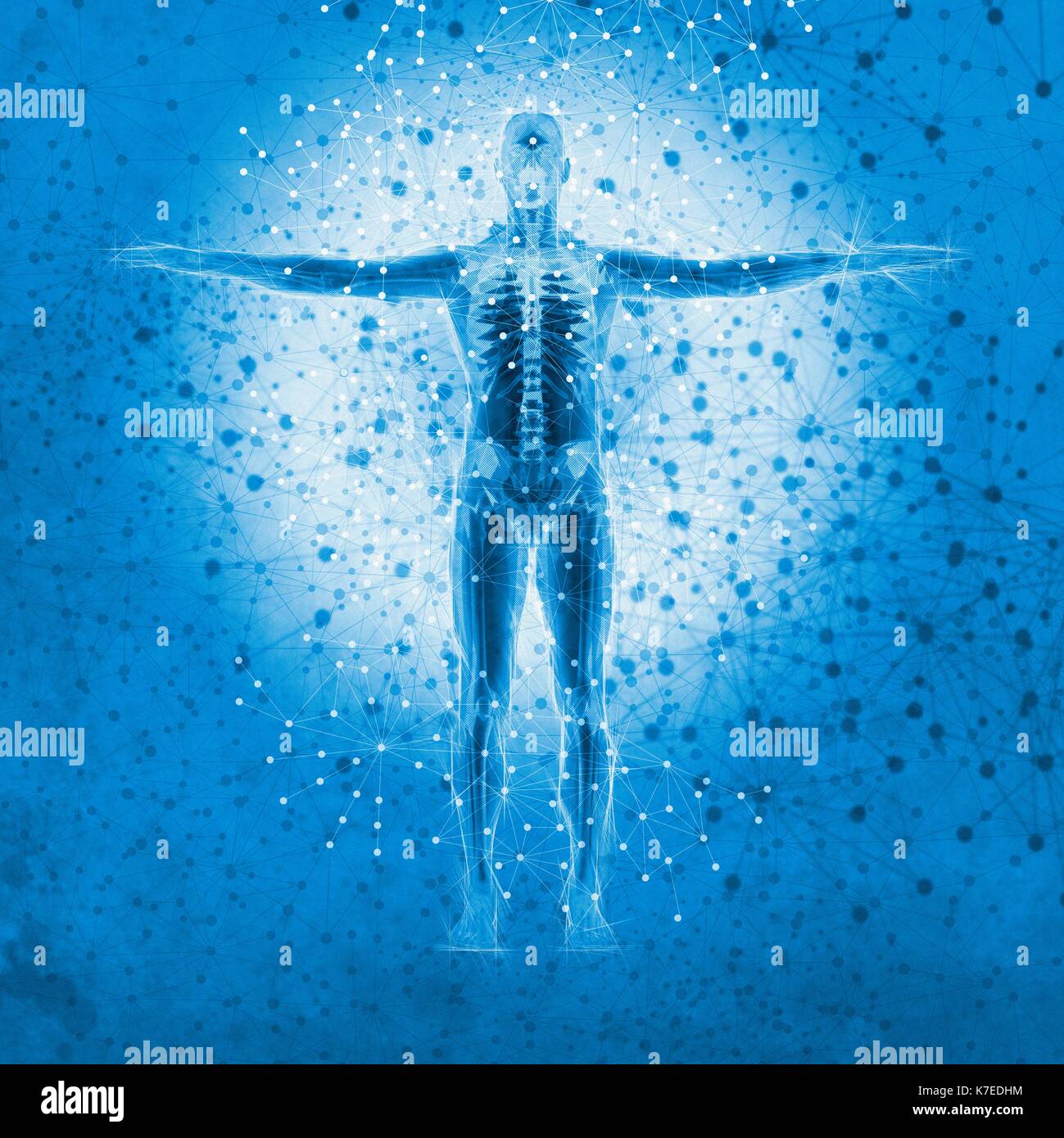 Structure atomique du corps humain Banque de photographies et d’images ...