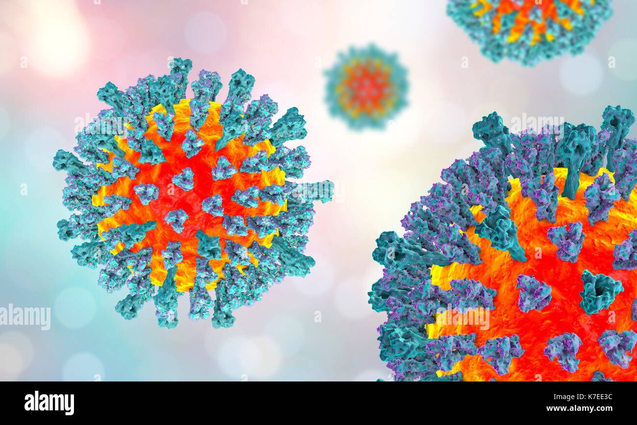 Virus de la rougeole, illustration Banque de photographies et d’images ...