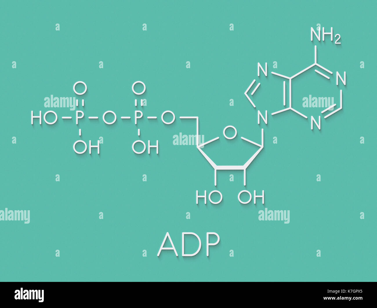 L'adénosine diphosphate (ADP). molécule joue rôle essentiel dans l ...