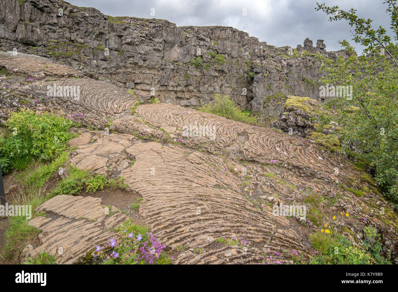 Islande - þingvellir, la vallée du rift qui marque la crête de la ...