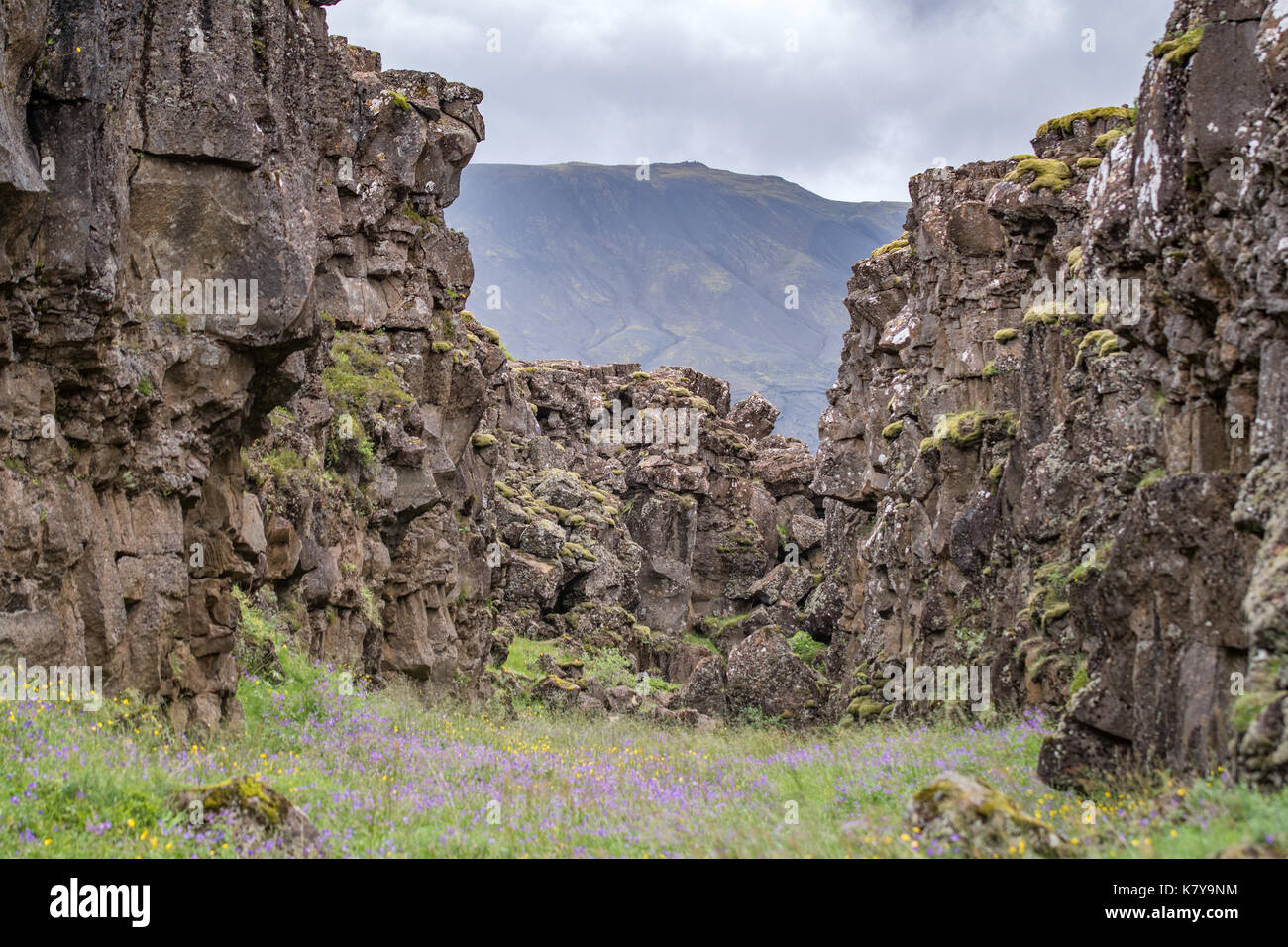 Plaque tectonique Banque de photographies et d’images à haute ...