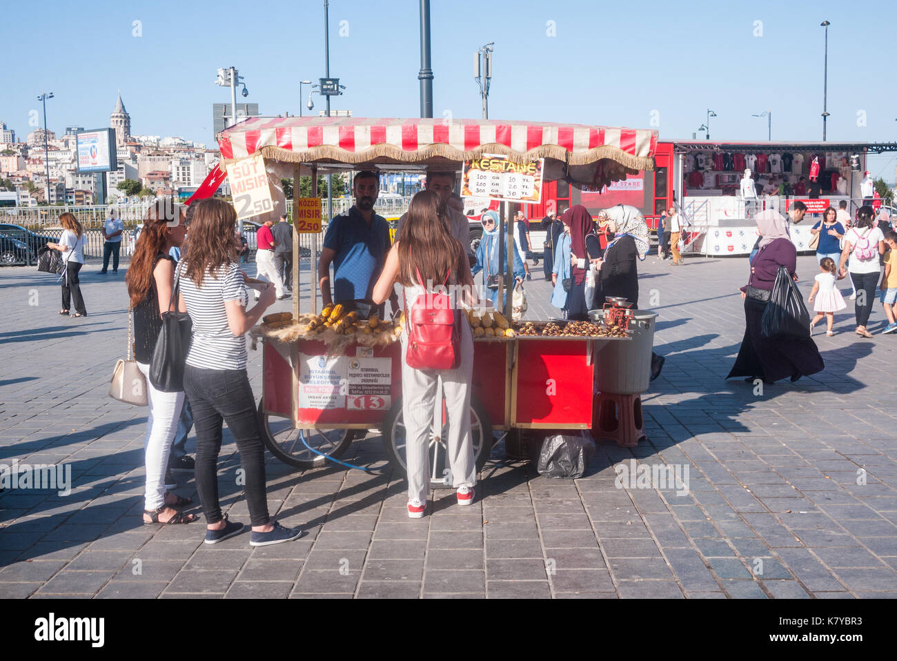 Istanbul, fournisseur, nourriture, chariot, dinde Banque de ...