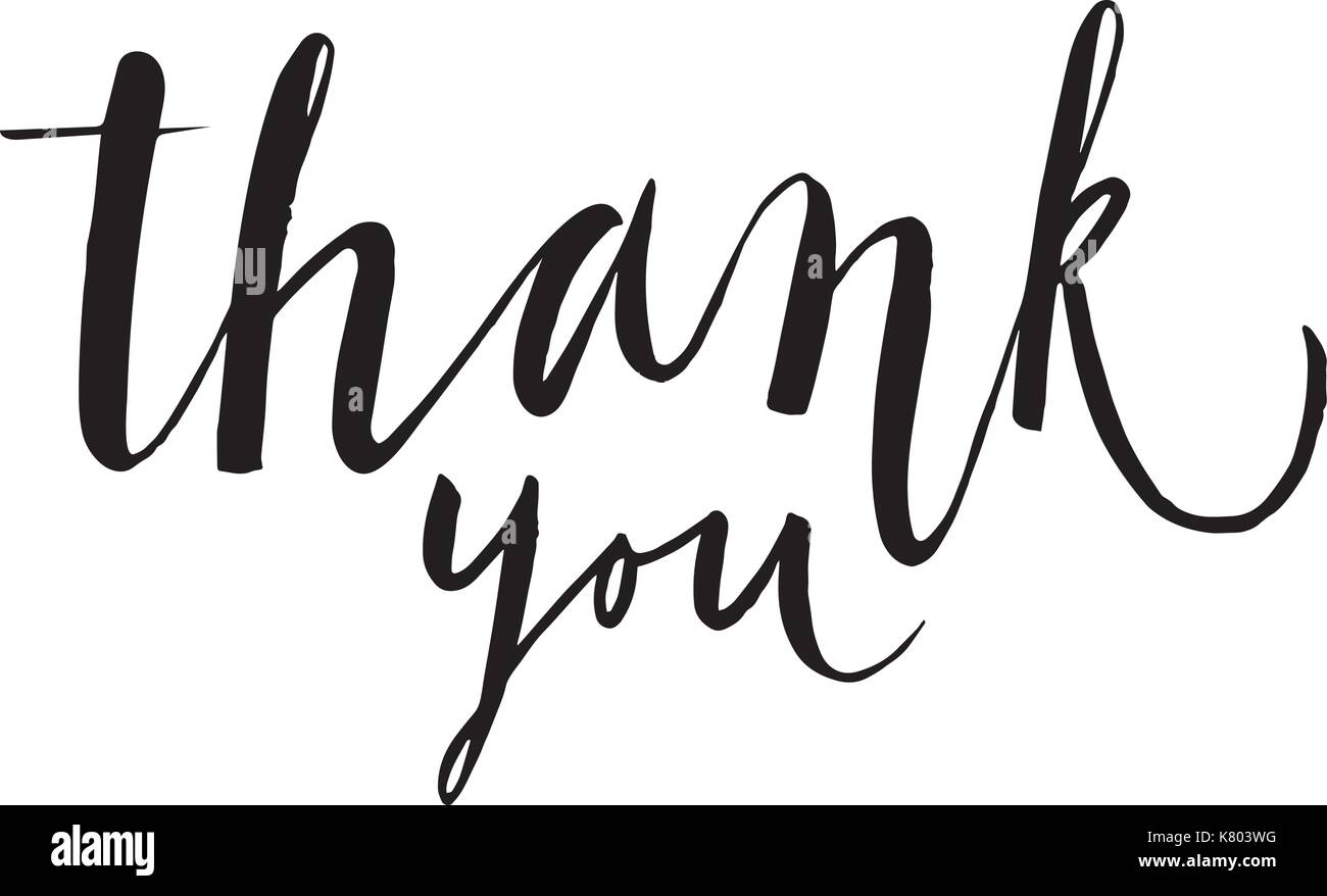 Lettrage dessiné à la main. merci calligraphie. vector illustration ...