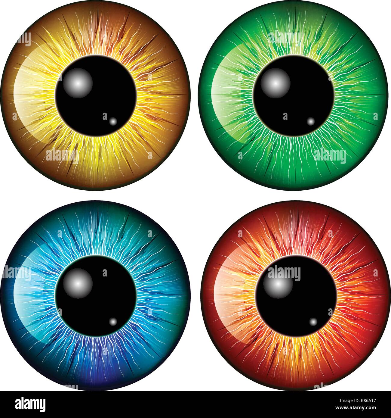 L'oeil, la pupille, l'iris, symbole vecteur icône concevoir. Belle ...