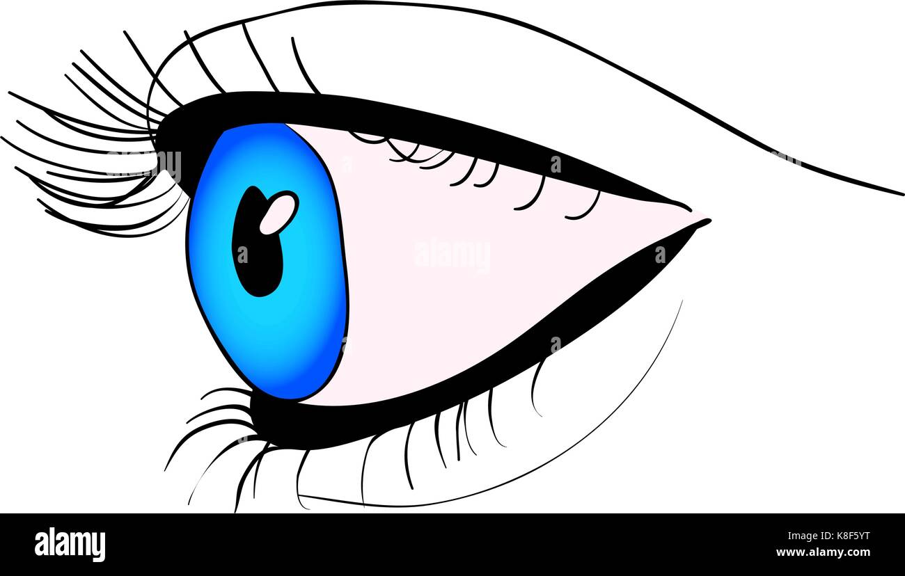 Œil humain close up vector icône symbole design. Belle illustration ...