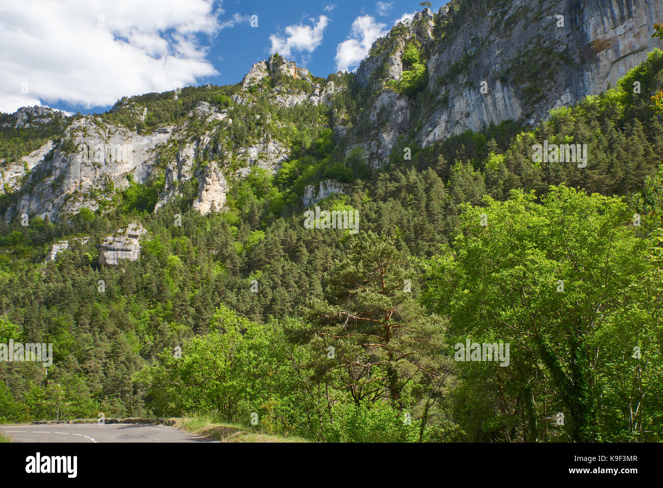 Gorges tarn Banque de photographies et d’images à haute résolution - Alamy