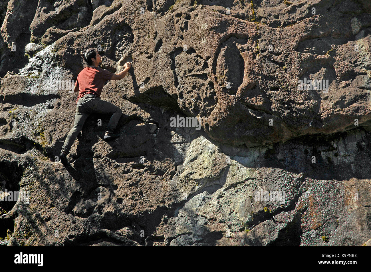 Alerce Andino National Park Banque De Photographies Et D images Haute alerce-andino-national-park-banque-de-photographies-et-d-images-haute