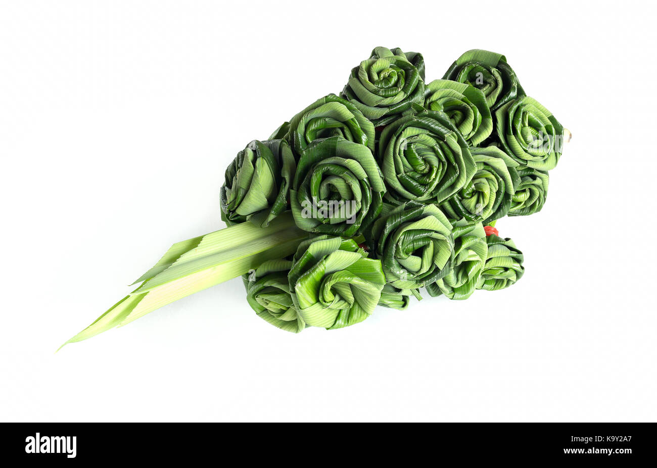 Feuille de pandanus Banque de photographies et d’images à haute ...