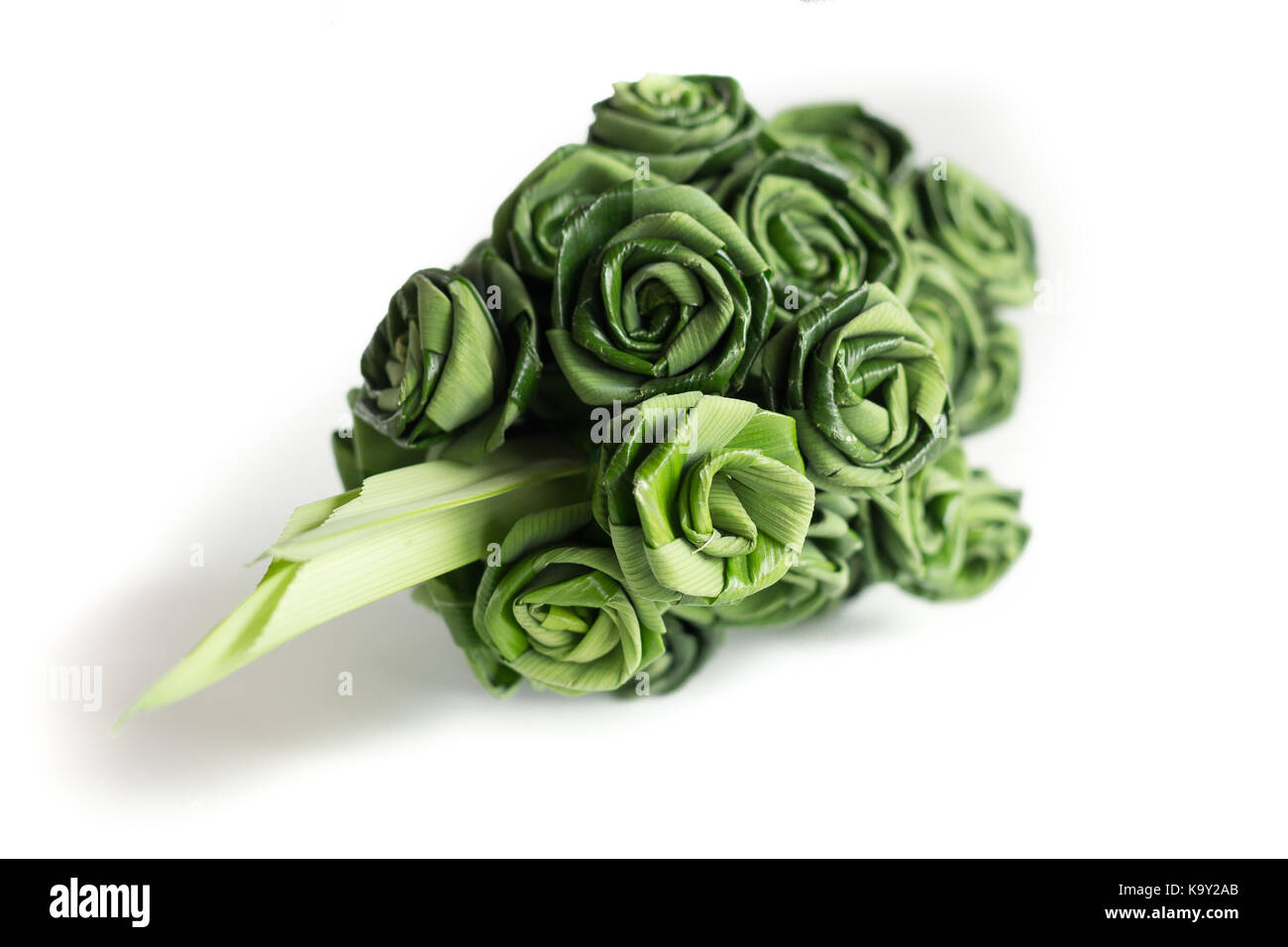 Feuille de pandanus Banque de photographies et d’images à haute ...