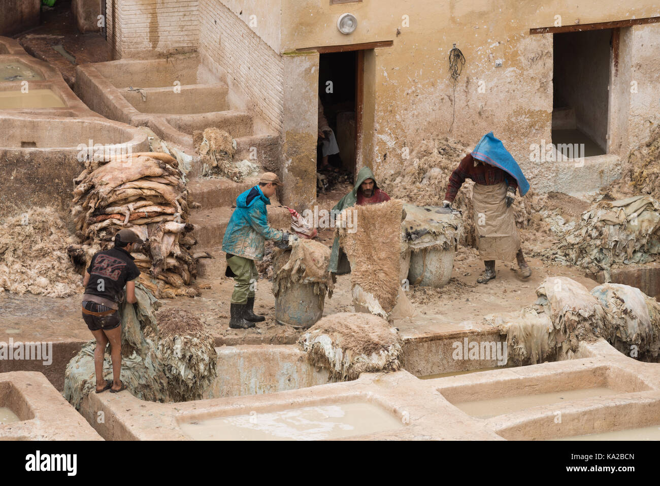 Tannerie, Sidi Moussa, à Fes, Maroc Photo Stock - Alamy