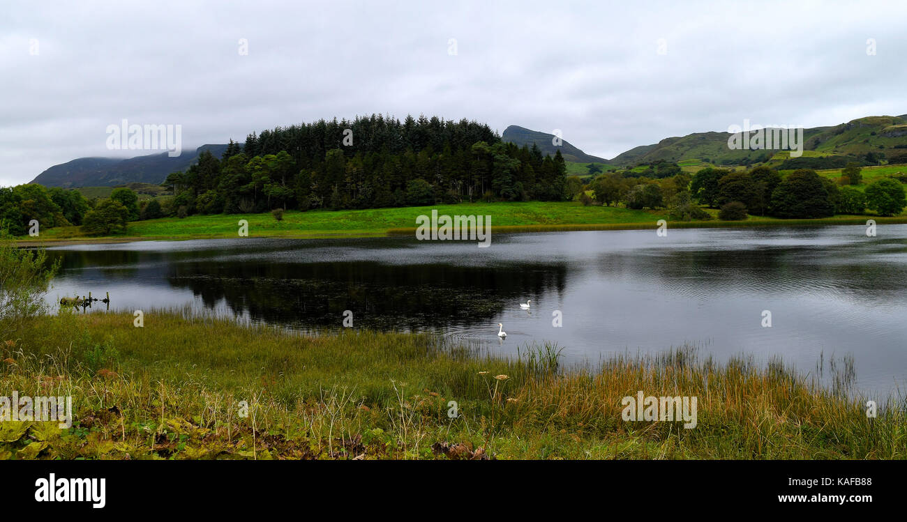 Rock of doon Banque de photographies et d’images à haute résolution - Alamy