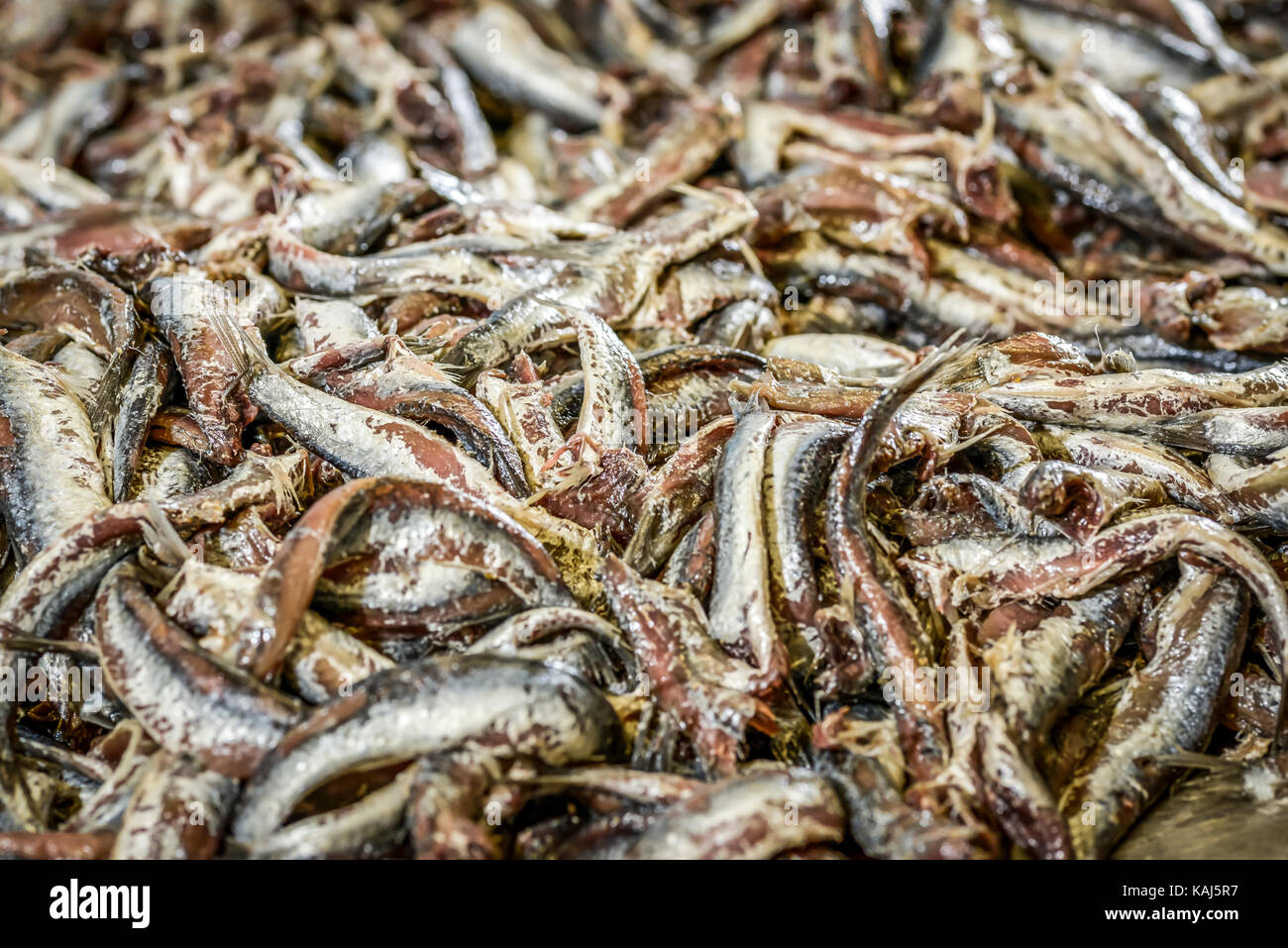 Anchois collioure roque Banque de photographies et d’images à haute ...