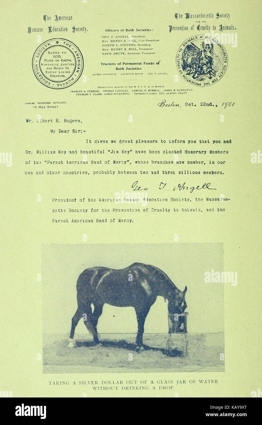 Un récit historique du beau Jim Key, un cheval renommé connu pour son ...