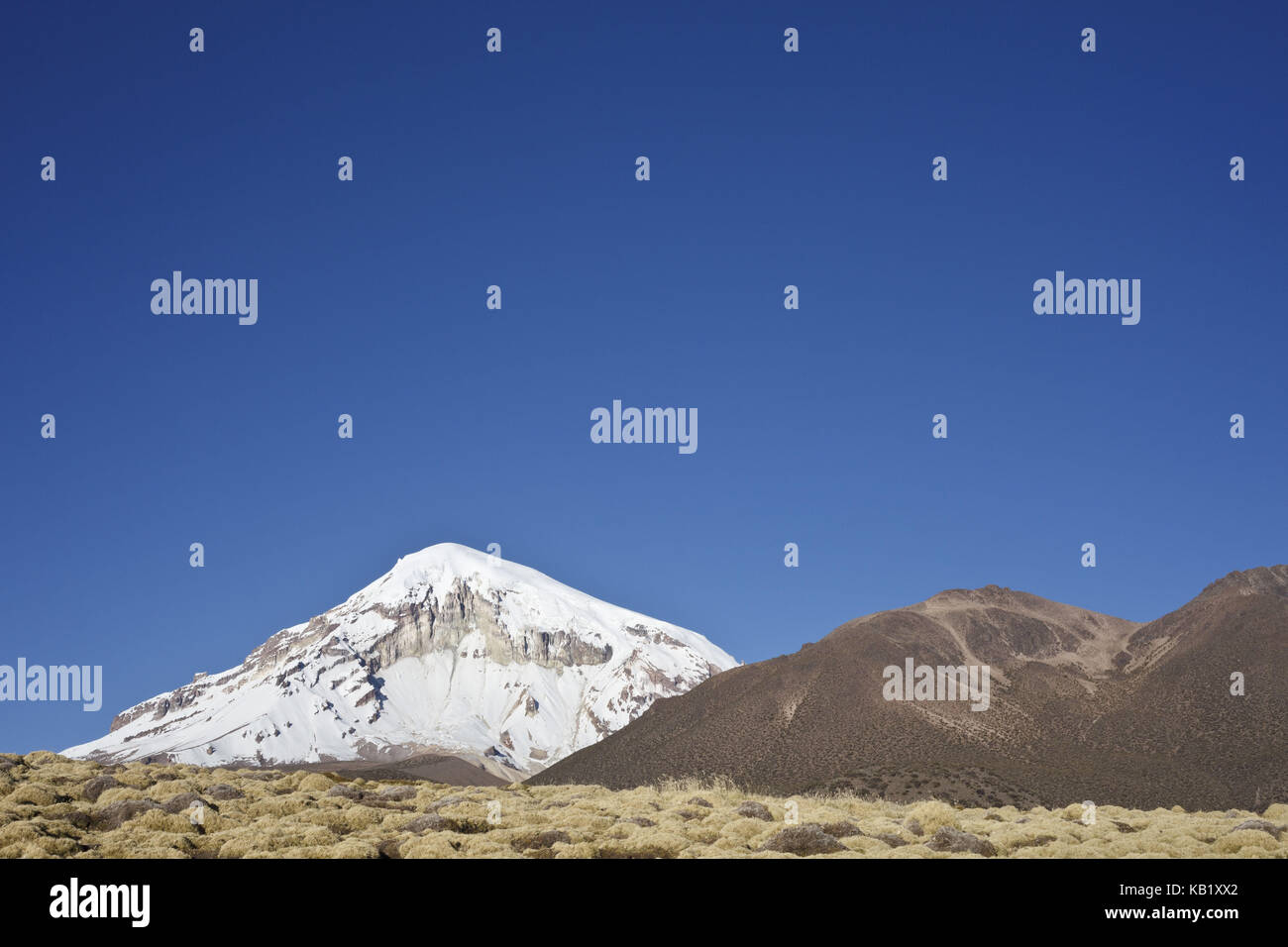 Volcan nevado sajama Banque de photographies et d’images à haute ...