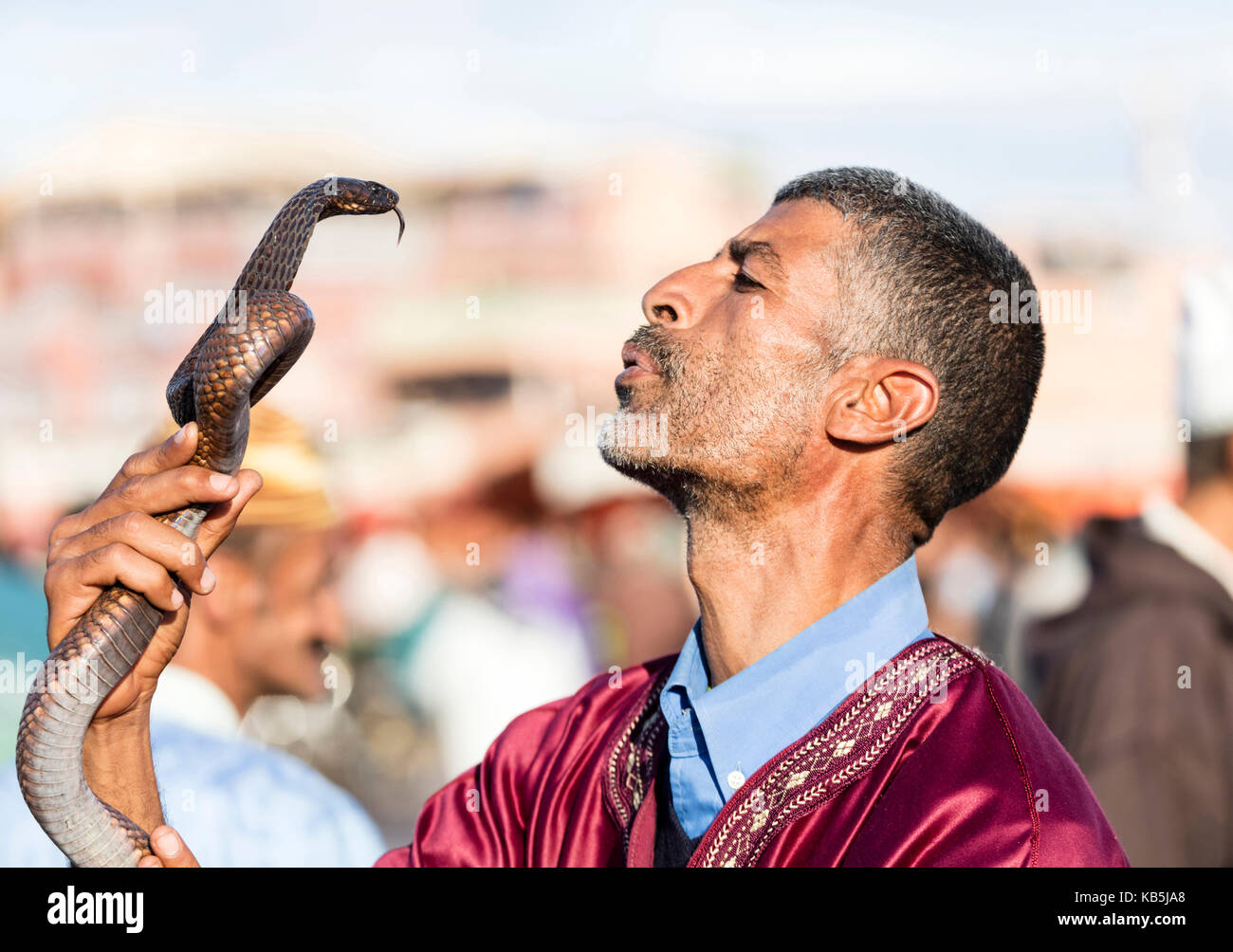 Charmeur de serpent, place Djemaa el Fna, Marrakech, Maroc, Afrique du ...