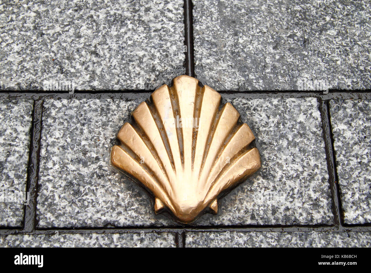 Coquille de saint james Banque de photographies et d’images à haute ...