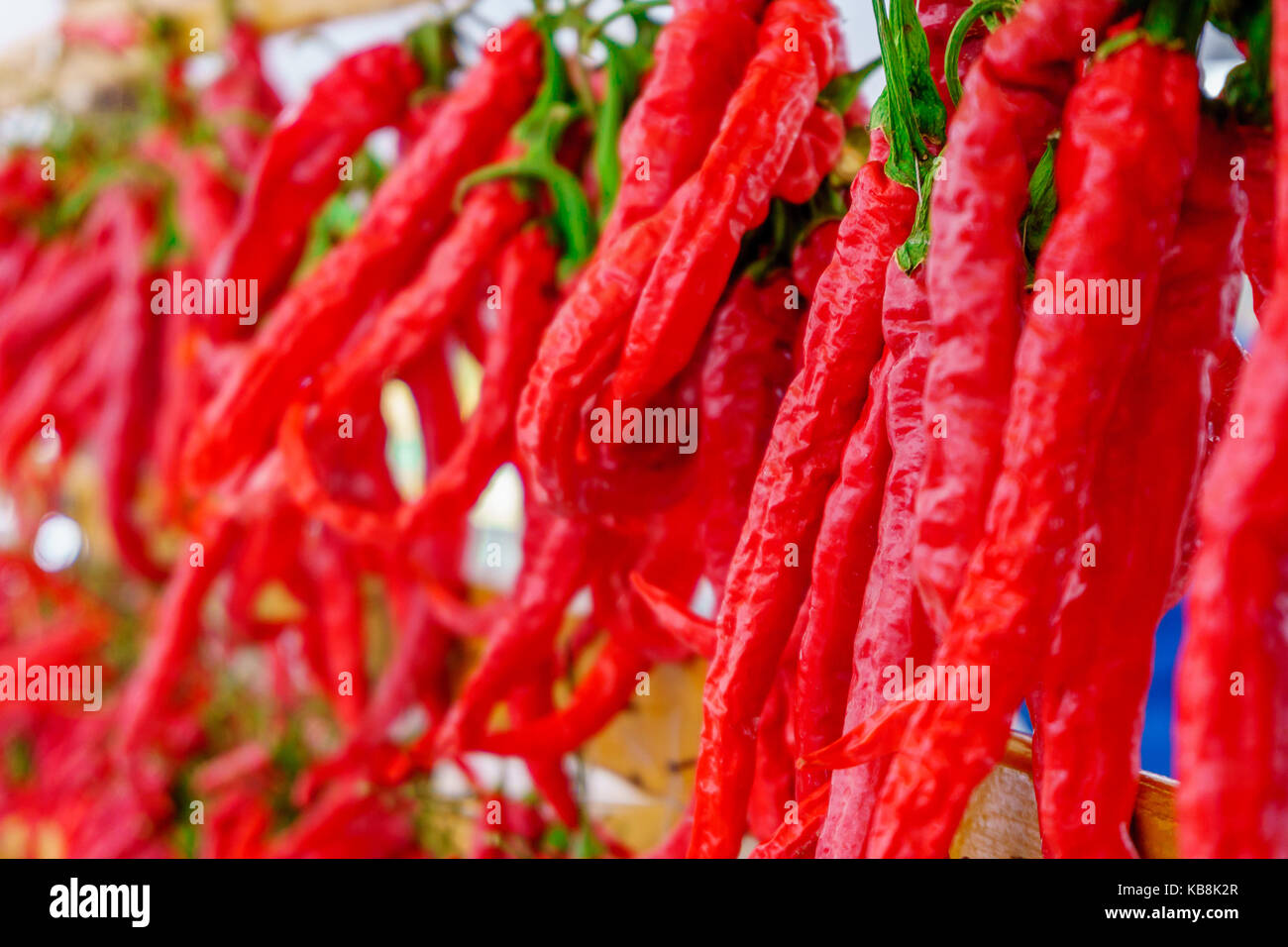 Piment Suspendu Banque d'image et photos - Alamy