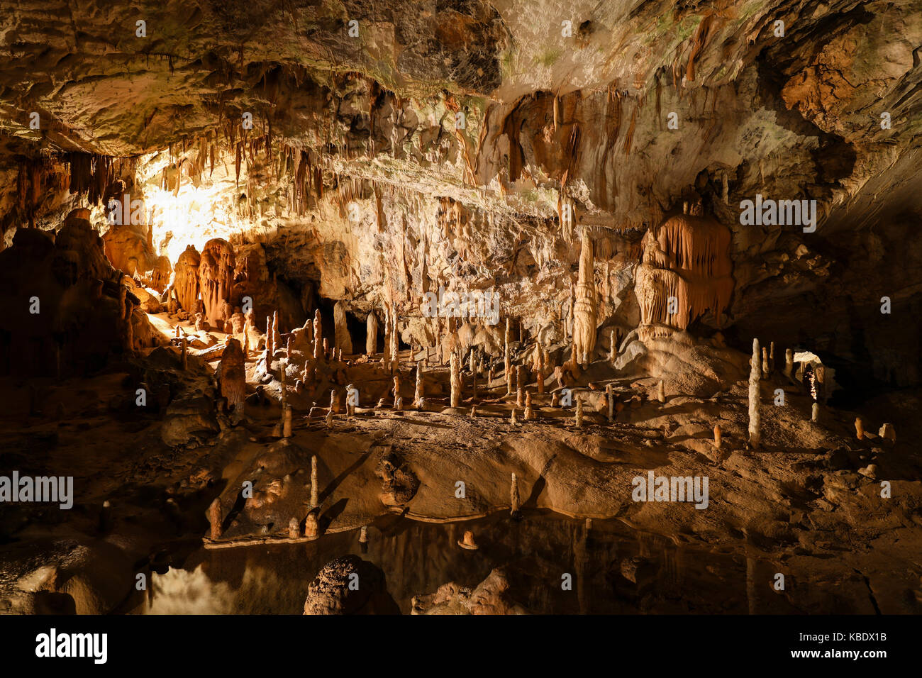 Grotte de Postojna (Postojnska jama : slovène ; italien : grotte di ...