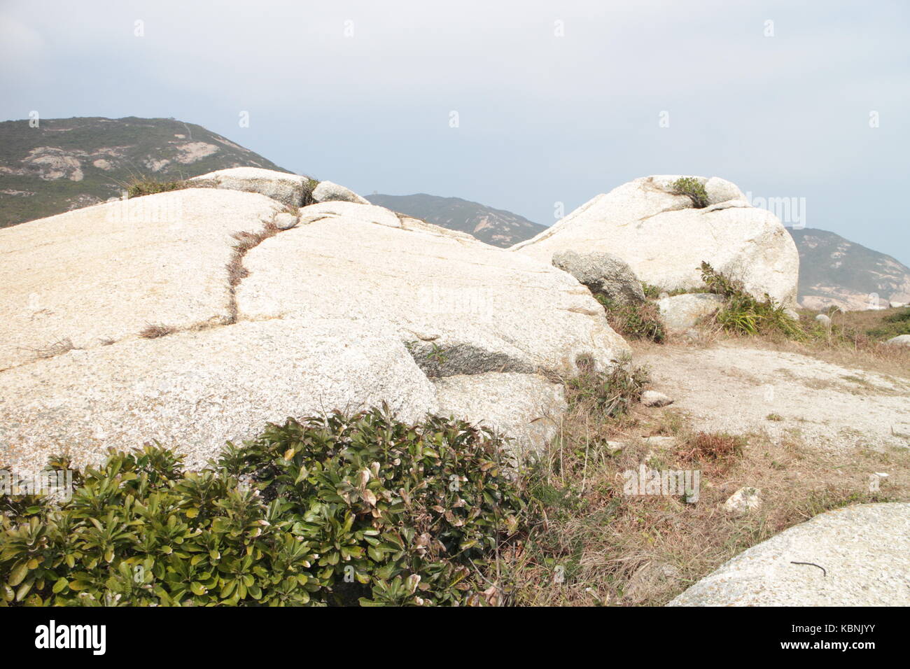 Turtle rock Banque de photographies et d’images à haute résolution - Alamy