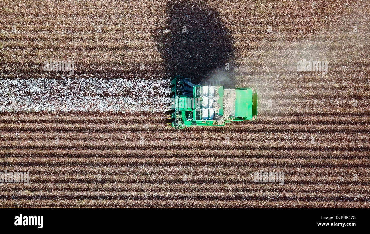 Cotton picker Banque de photographies et d’images à haute résolution ...