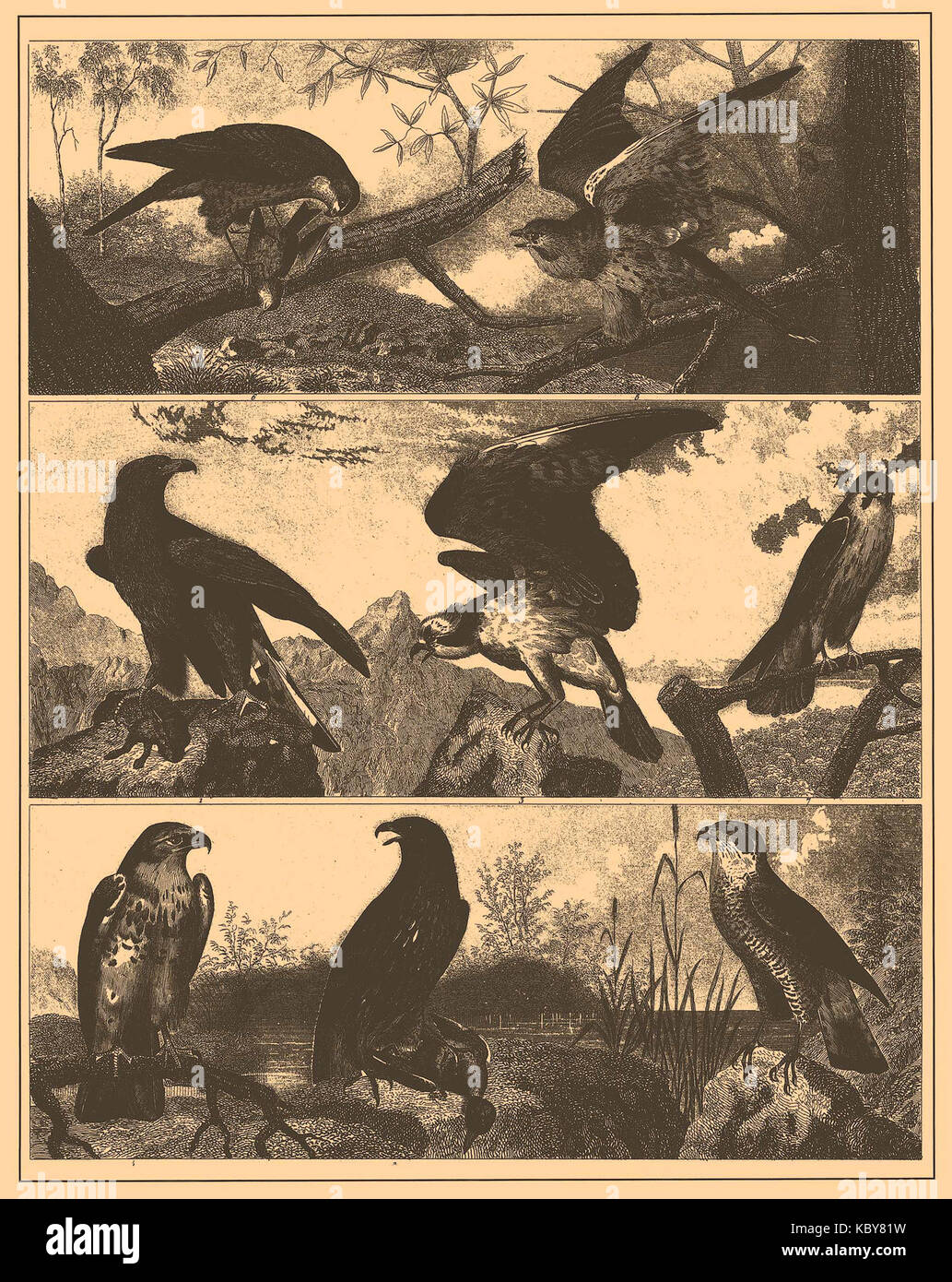 Mappa iconografica Banque de photographies et d’images à haute ...