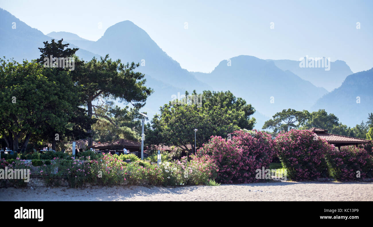 Belle ligne de côte Banque de photographies et d’images à haute ...