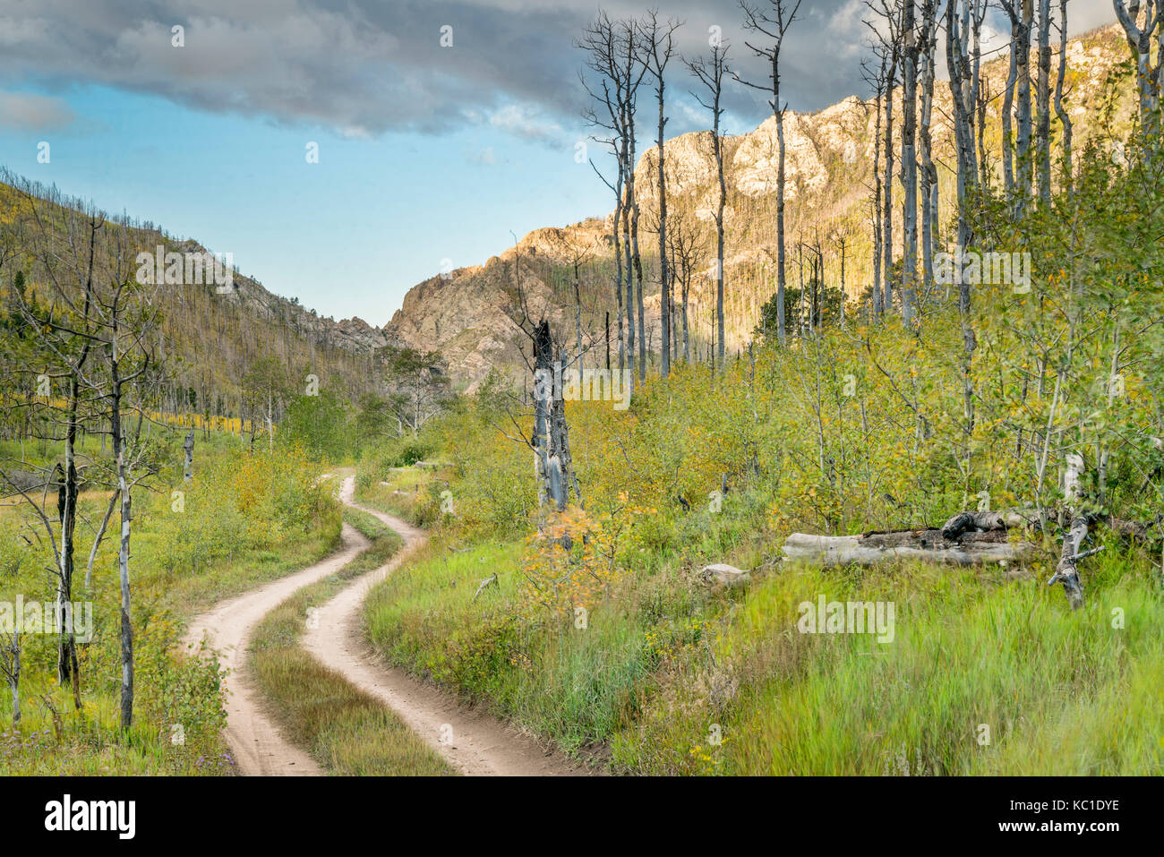 Medano pass road primitif dans Great Sand Dunes National Park et ...