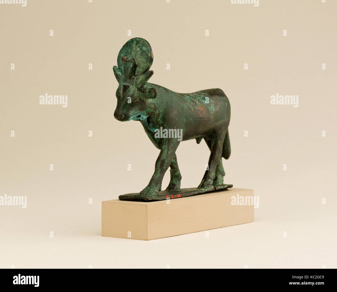 Apis taureau Banque de photographies et d’images à haute résolution - Alamy