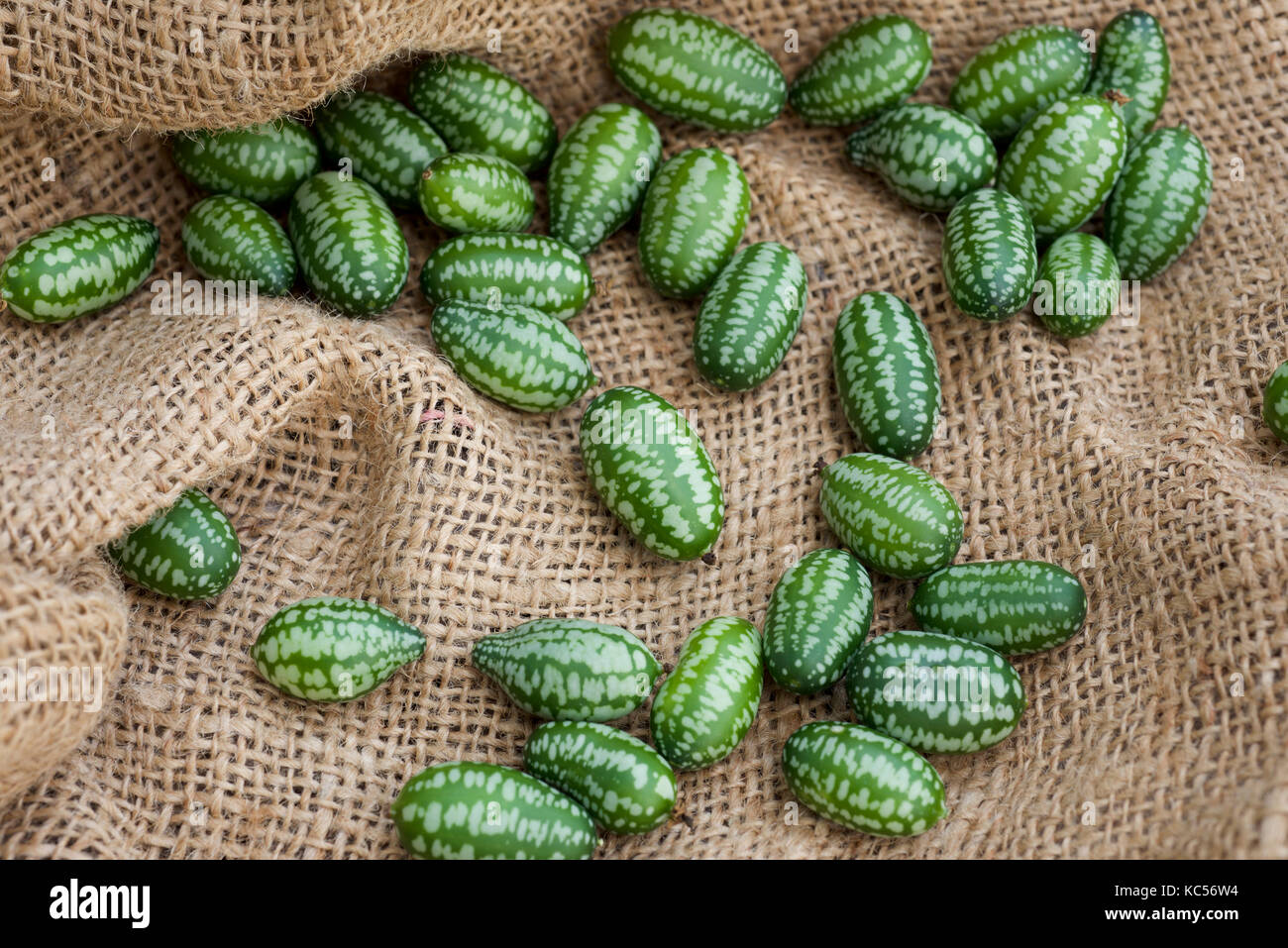 Cornichons mexicains Banque de photographies et d’images à haute ...