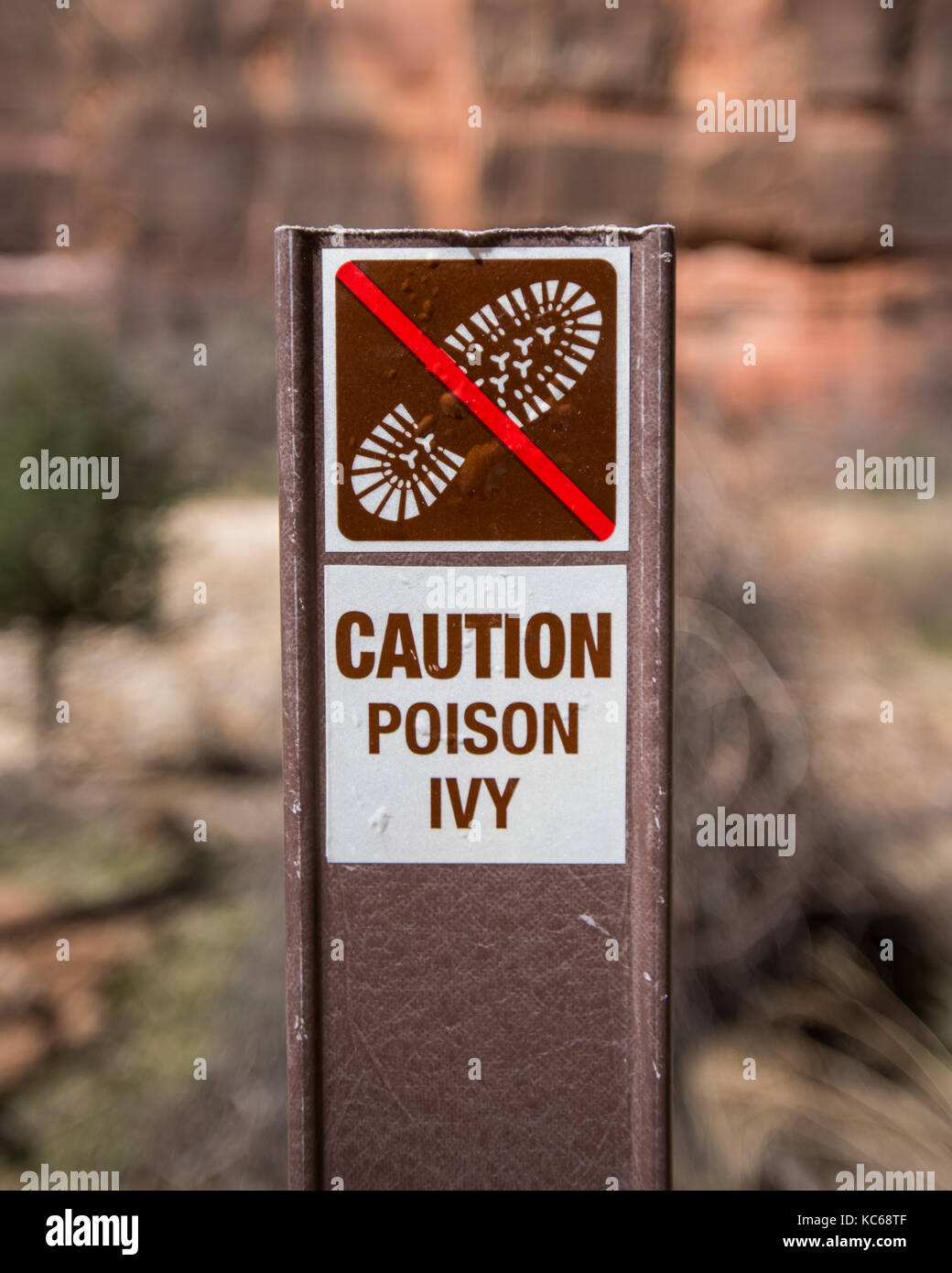 Poison ivy warning sign Banque de photographies et d’images à haute ...