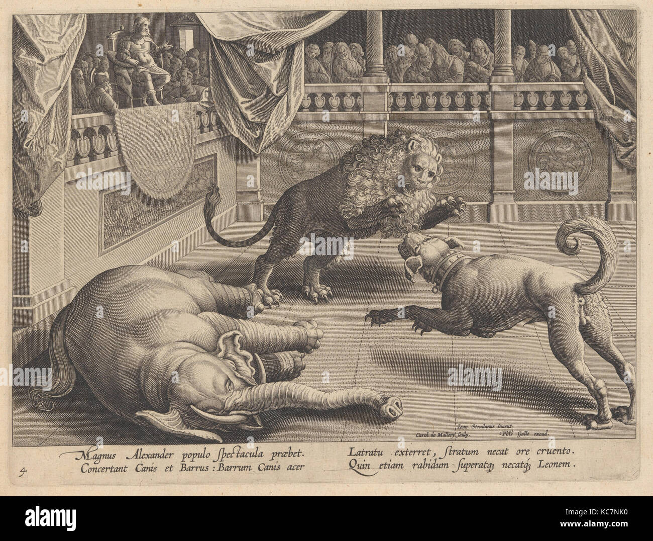 Venationes ferarum Banque de photographies et d’images à haute ...