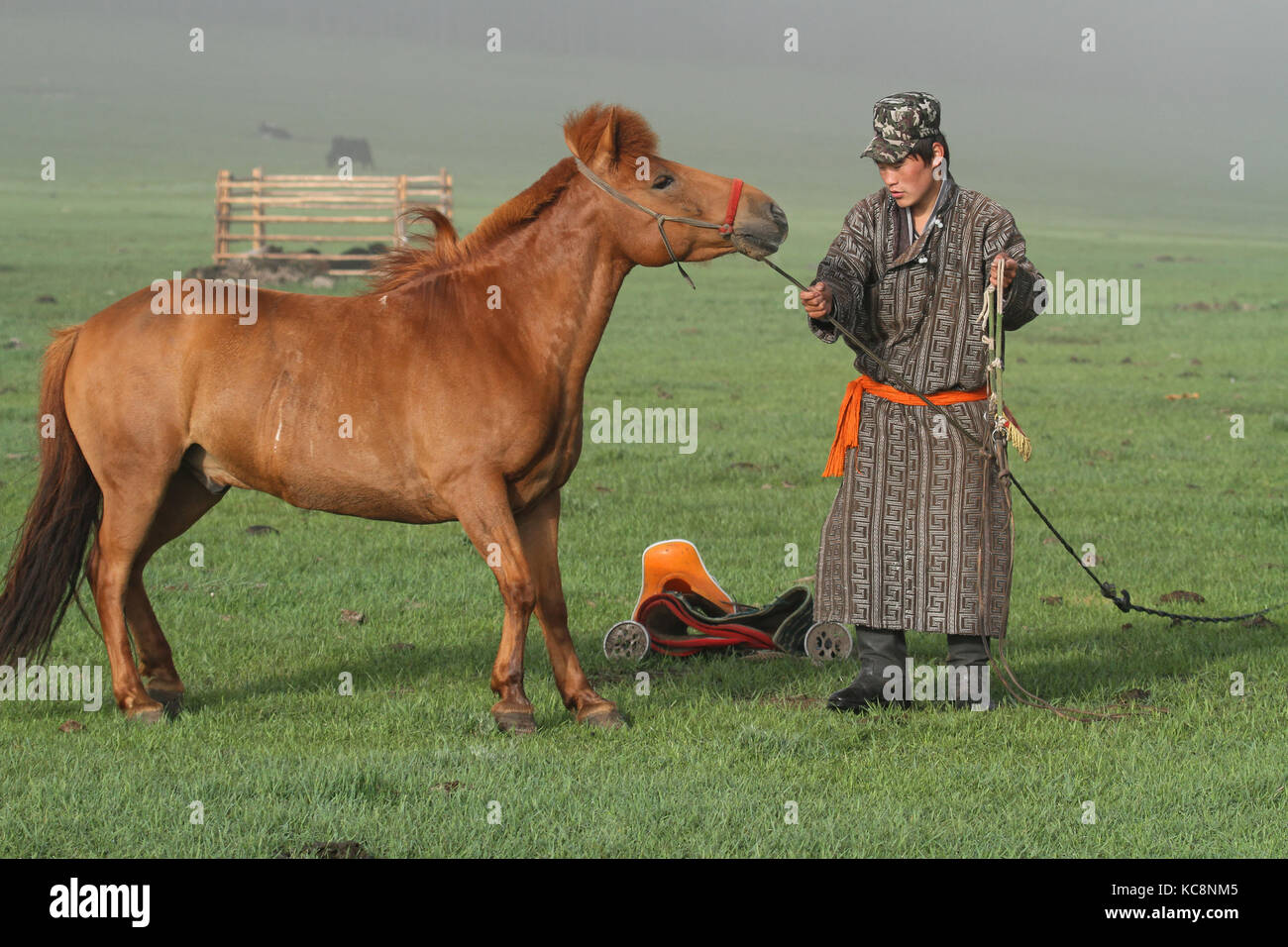 BAT-ULZII, MONGOLIE, 15 juillet 2013 : Un cavalier prépare son cheval ...