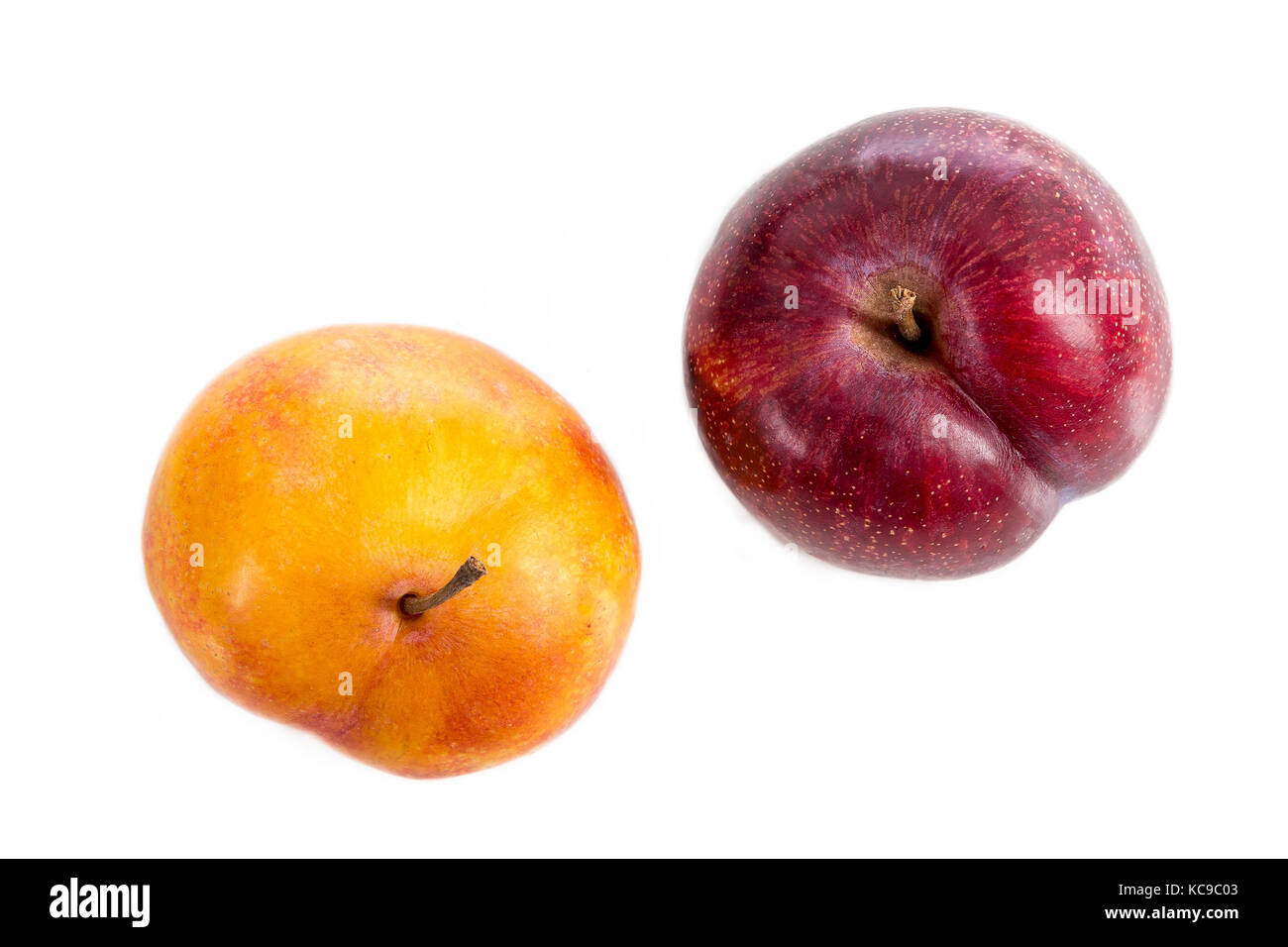 Confiture de prunes rouges Banque de photographies et d’images à haute ...