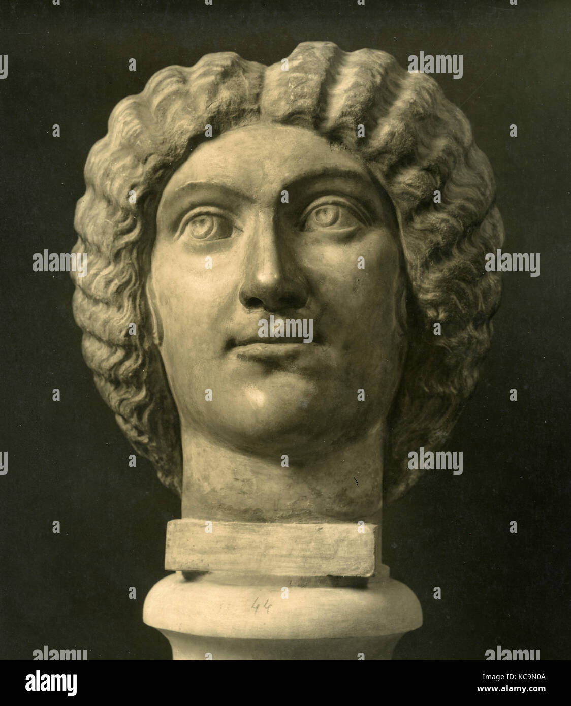 Julia domna Banque de photographies et d’images à haute résolution - Alamy