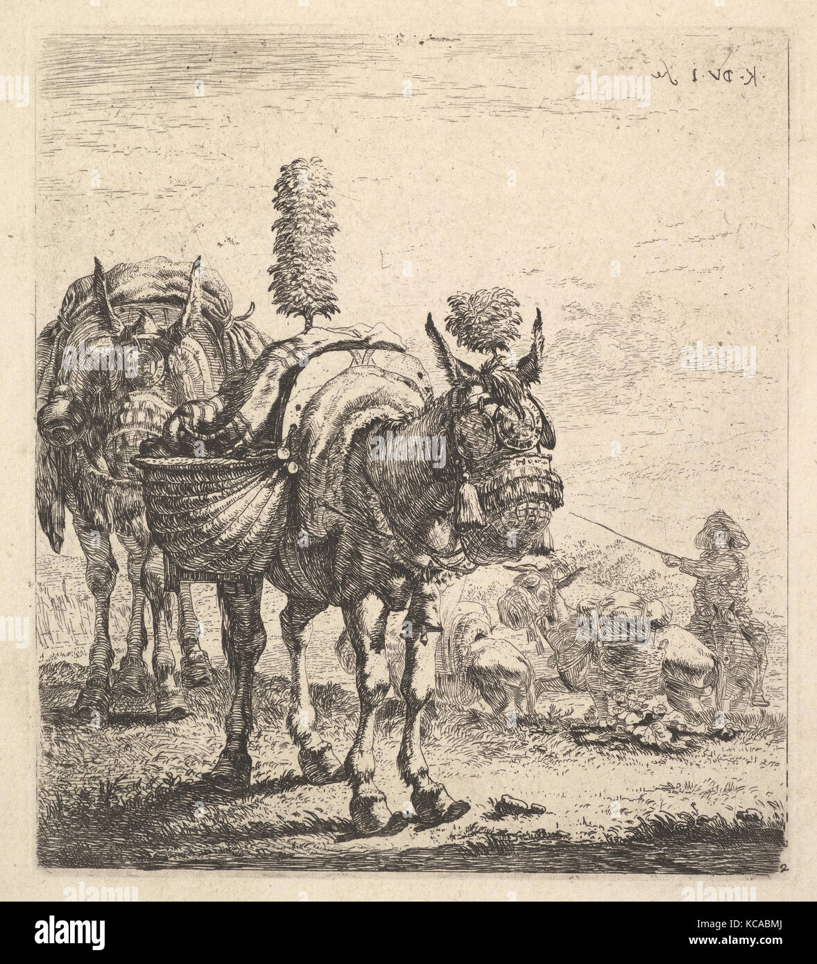 Roulement de deux mulets de bât et équipés avec des œillères, panaches ...