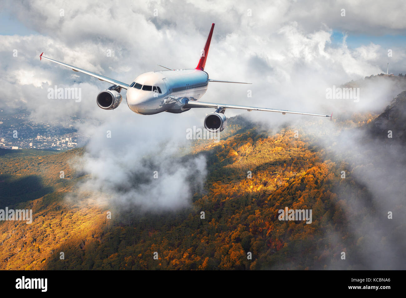 Avion survolant des arbres Banque de photographies et d’images à haute ...
