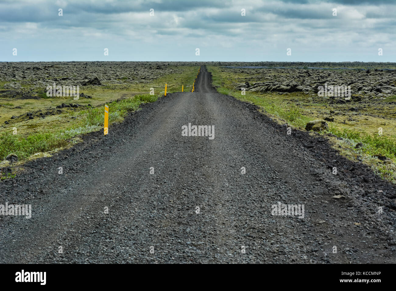 Chemin de terre vide de pierres de lave en perspective avec mousse ...
