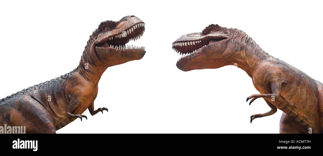 Tyrannosaurus rex sculpture Banque de photographies et d’images à haute résolution - Alamy