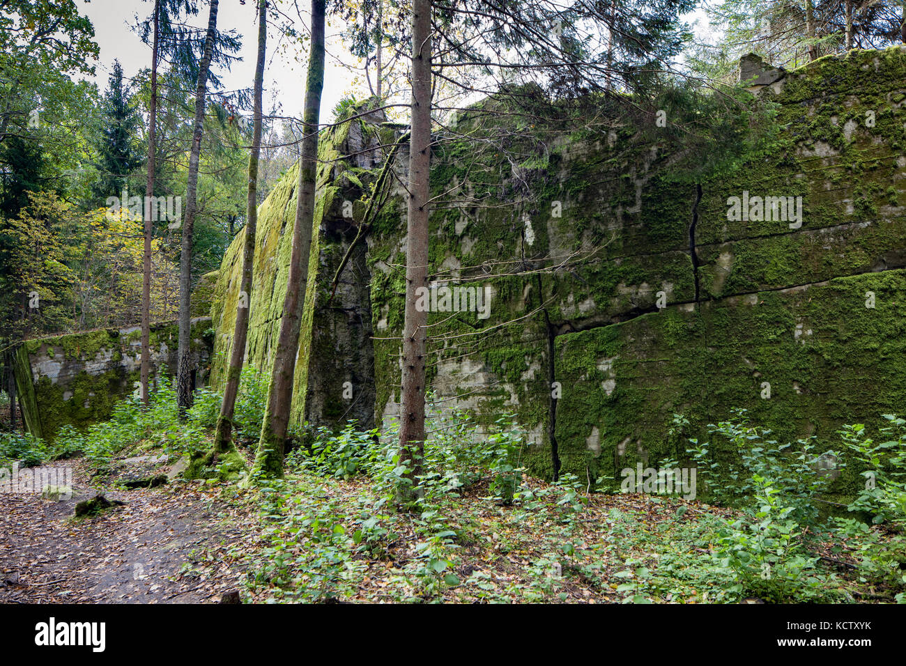 Wolfschanze, Wolf's Lair, Wolf's Fort - siège d'Adolf Hitler sur le ...