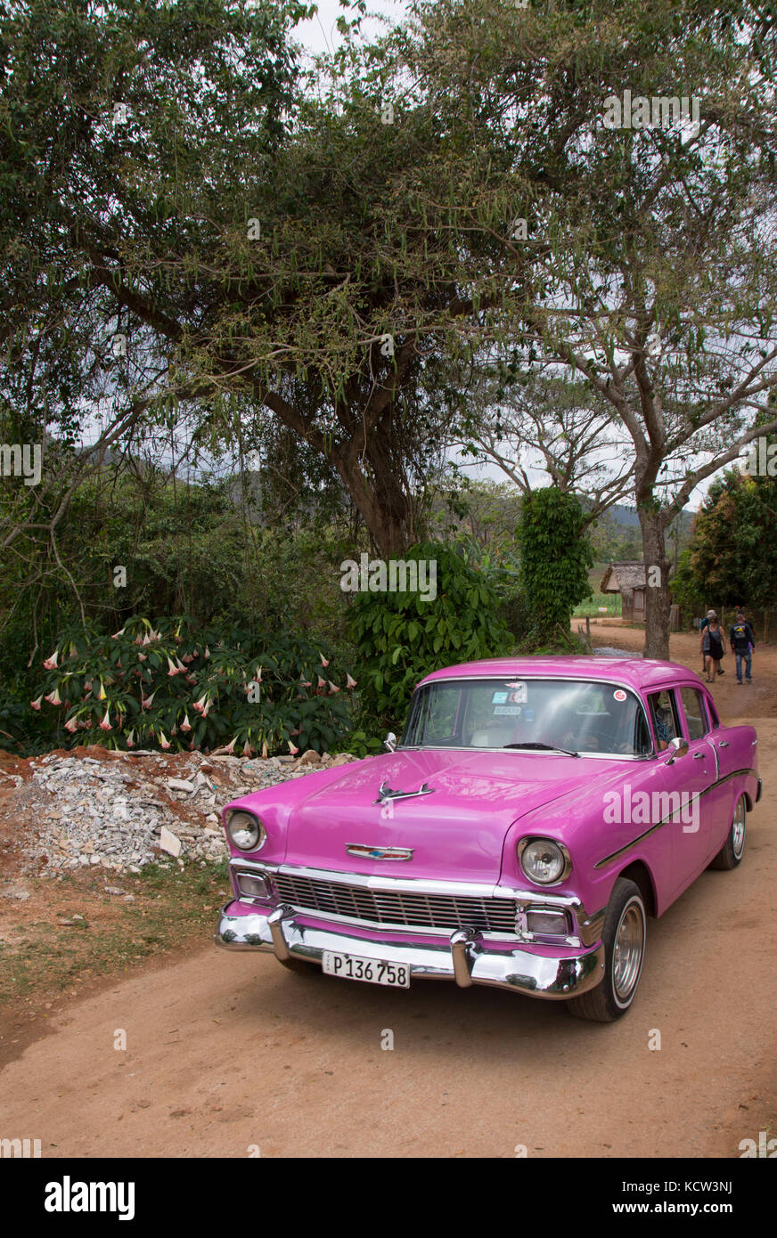 Chevrolet rose Banque de photographies et d’images à haute résolution ...
