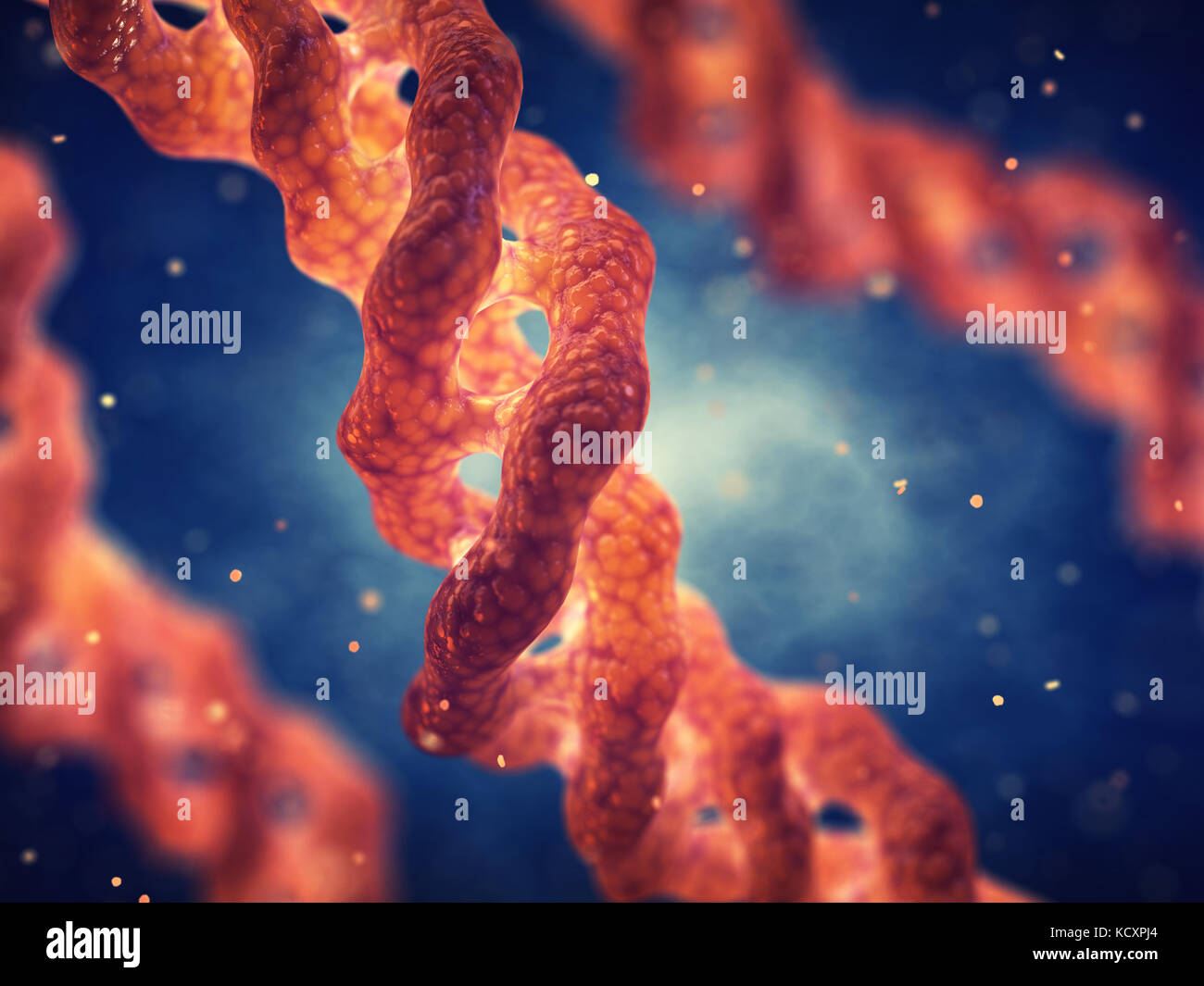 Collagen protein structure Banque de photographies et d’images à haute ...