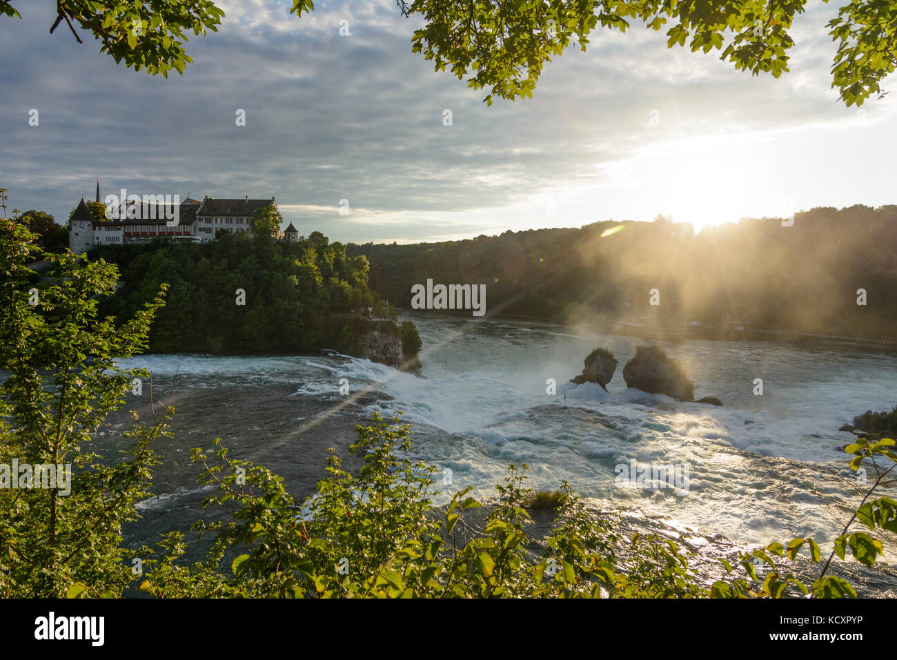 Rheinfall (chutes du Rhin) cascade, château Schloss Laufen, Stein am ...