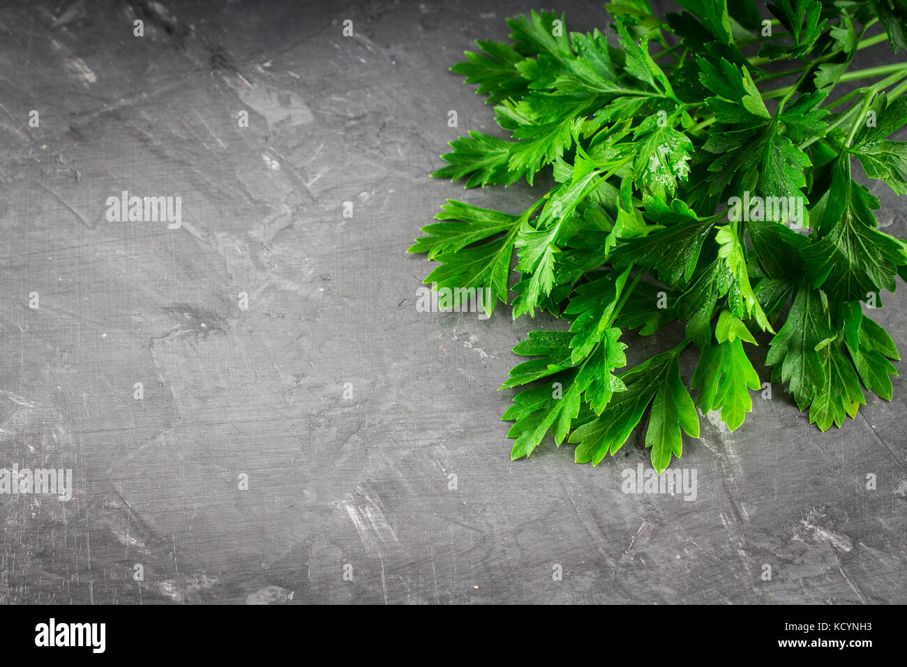Plante De Persil Banque d'image et photos - Alamy